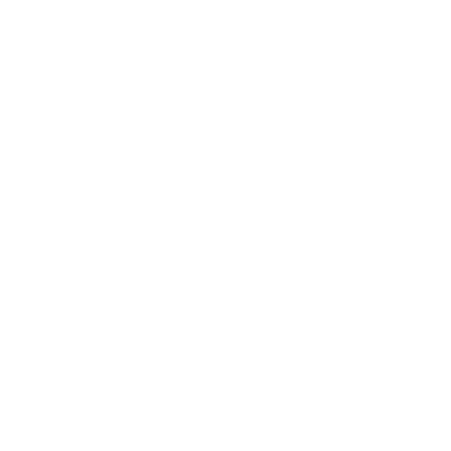 About – Advon Inc